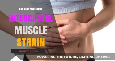 Sneezing And Chest Pain: Can It Strain Your Muscles? | CyVigor
