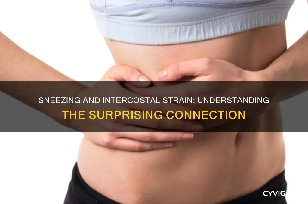 Sneezing And Intercostal Strain: Understanding The Surprising ...