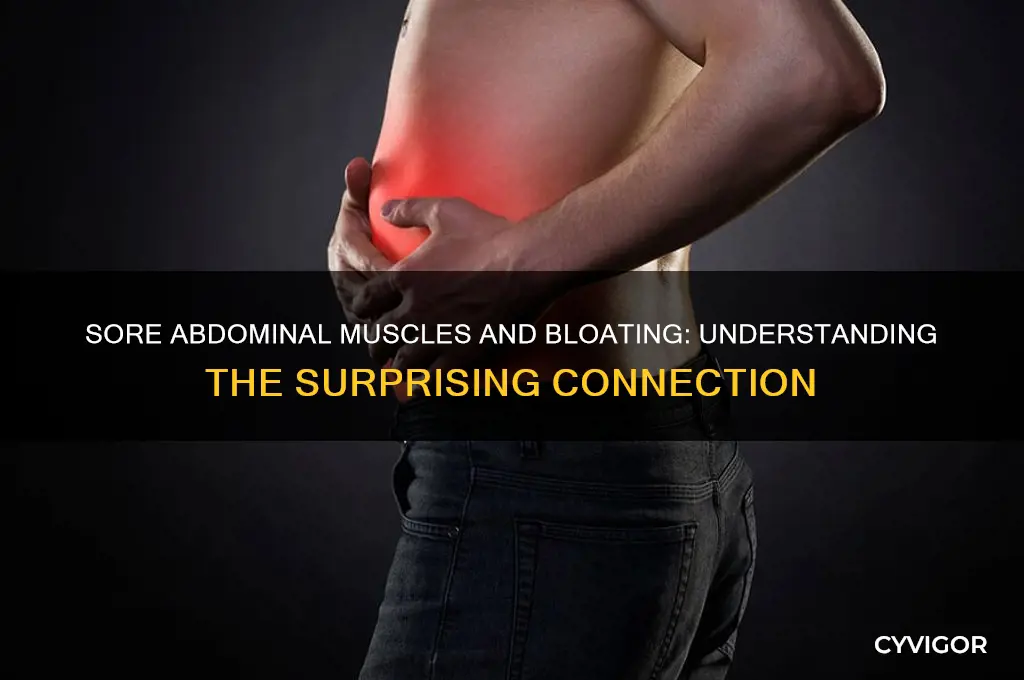 Sore Abdominal Muscles And Bloating: Understanding The Surprising ...