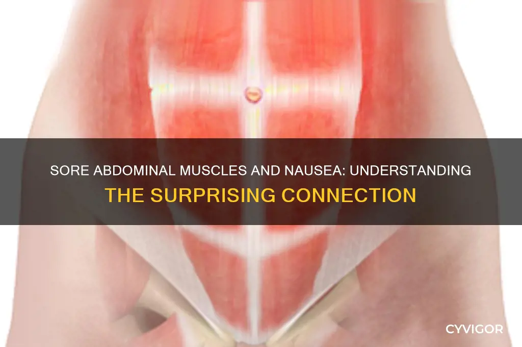 Sore Abdominal Muscles And Nausea: Understanding The Surprising ...