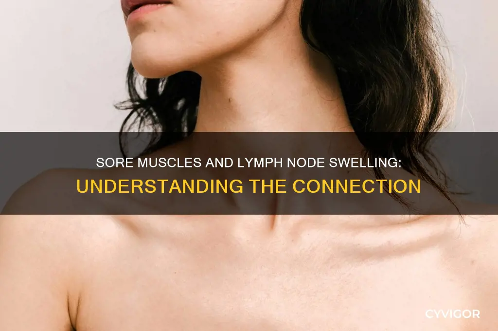 Sore Muscles And Lymph Node Swelling: Understanding The Connection ...