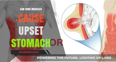 Sore Muscles And Elevated Ast: Understanding The Connection And Risks ...