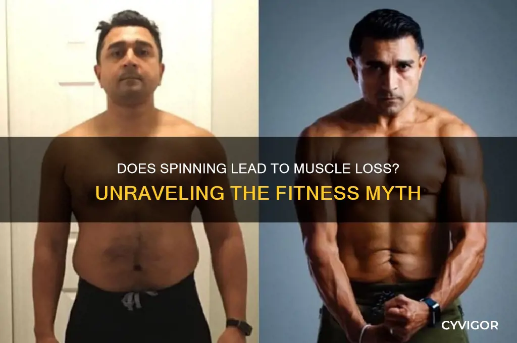 Does Spinning Lead To Muscle Loss? Unraveling The Fitness Myth | CyVigor