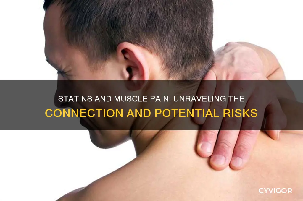 Statins And Muscle Pain: Unraveling The Connection And Potential Risks ...