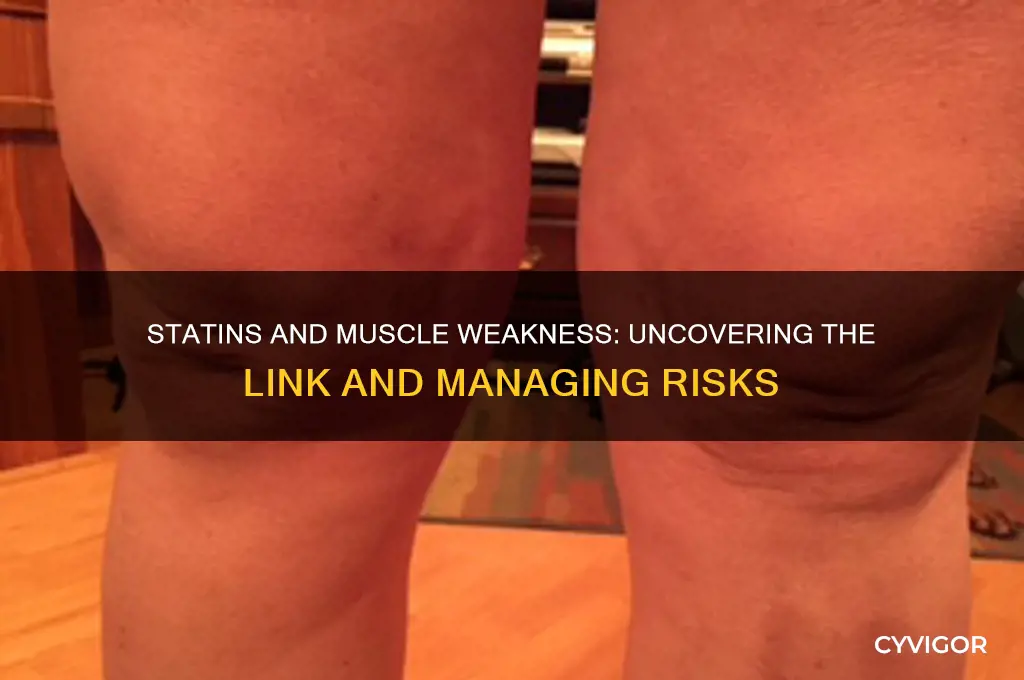 Statins And Muscle Weakness: Uncovering The Link And Managing Risks ...