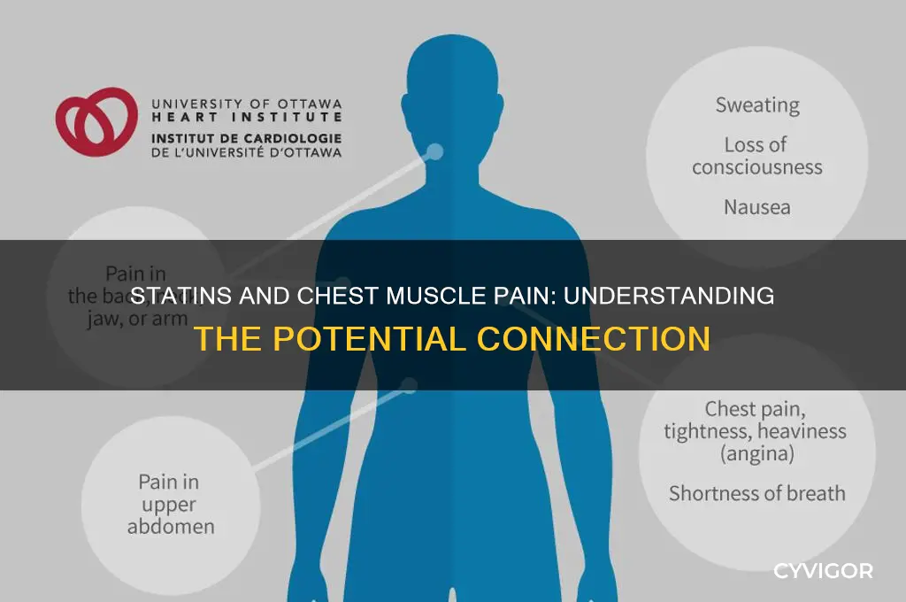 Statins And Chest Muscle Pain: Understanding The Potential Connection ...