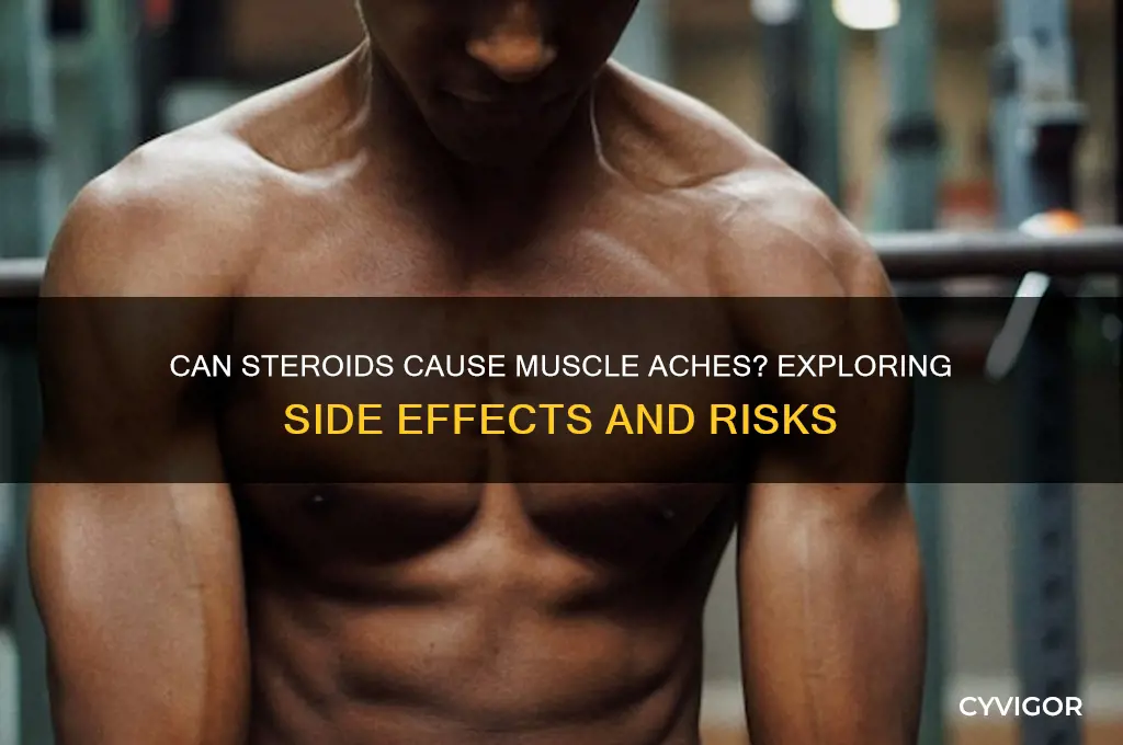 Can Steroids Cause Muscle Aches? Exploring Side Effects And Risks | CyVigor