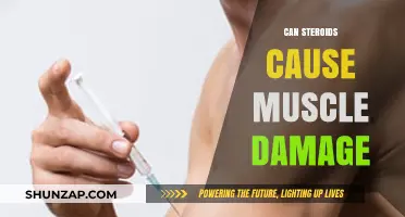 Sternocleidomastoid Muscle And Jaw Pain: Understanding The Connection ...