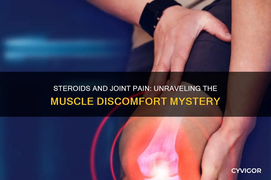 Steroids And Joint Pain: Unraveling The Muscle Discomfort Mystery | CyVigor