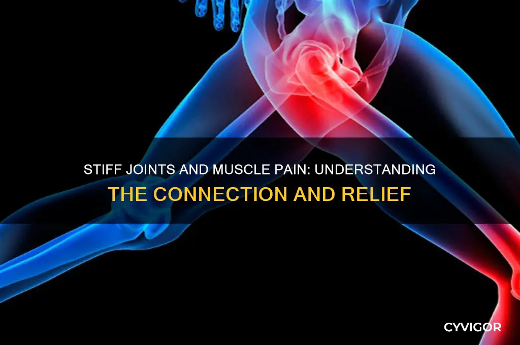 Stiff Joints And Muscle Pain: Understanding The Connection And Relief ...