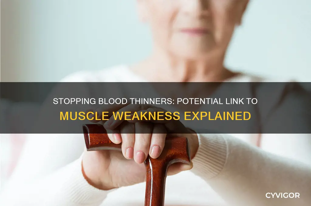 Stopping Blood Thinners: Potential Link To Muscle Weakness Explained ...