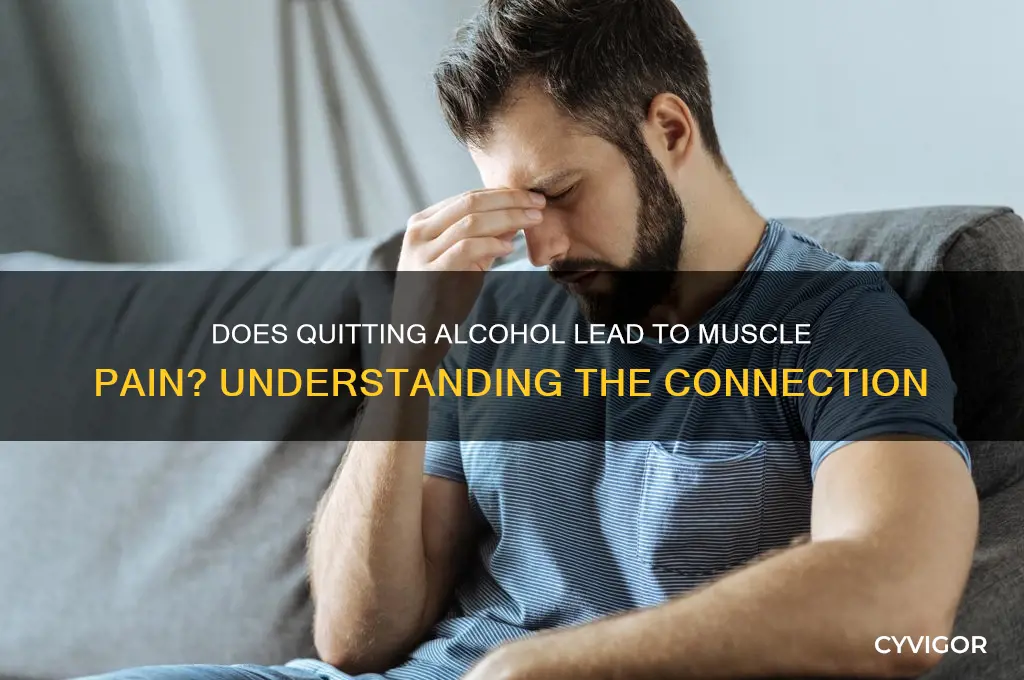 Does Quitting Alcohol Lead To Muscle Pain? Understanding The Connection ...