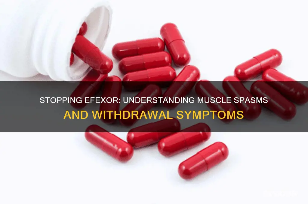 Stopping Efexor: Understanding Muscle Spasms And Withdrawal Symptoms ...