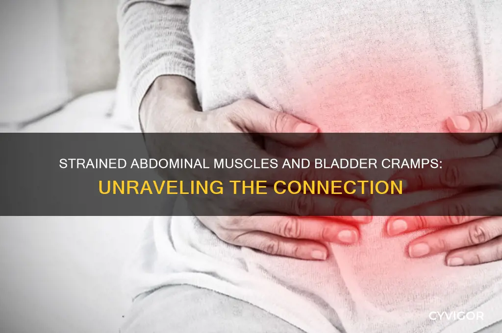Strained Abdominal Muscles And Bladder Cramps: Unraveling The ...