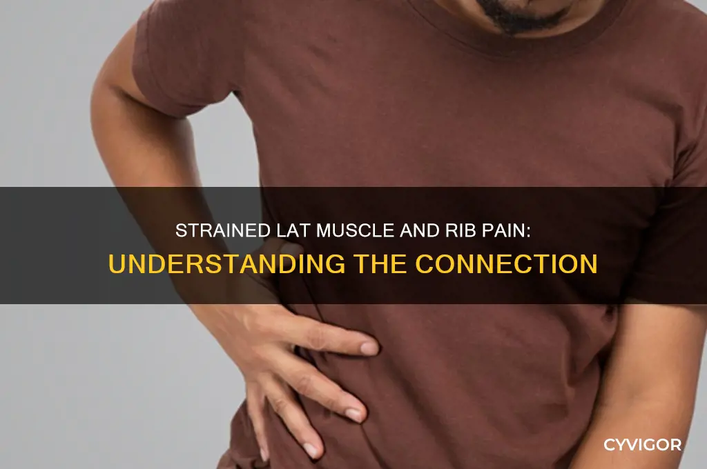 Strained Lat Muscle And Rib Pain: Understanding The Connection | CyVigor