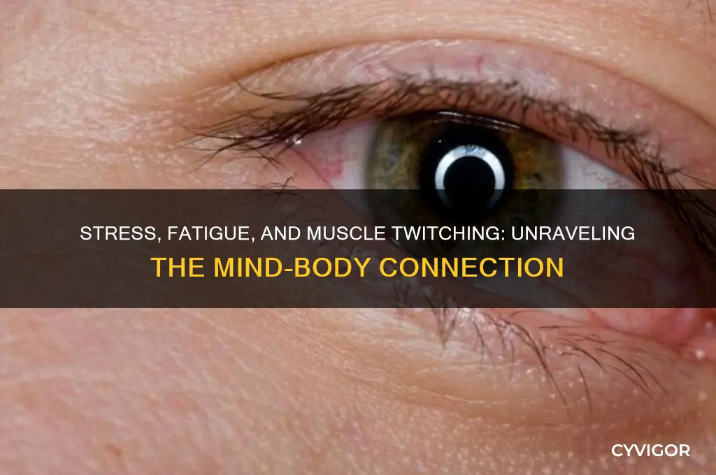 Stress, Fatigue, And Muscle Twitching: Unraveling The Mind-Body ...