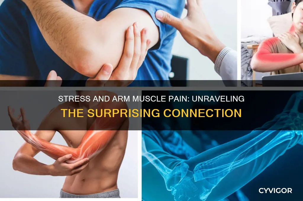Stress And Arm Muscle Pain: Unraveling The Surprising Connection | CyVigor