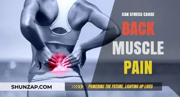 Stress And Arm Muscle Pain: Unraveling The Surprising Connection | CyVigor
