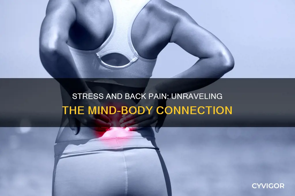 Stress And Back Pain: Unraveling The Mind-Body Connection | CyVigor