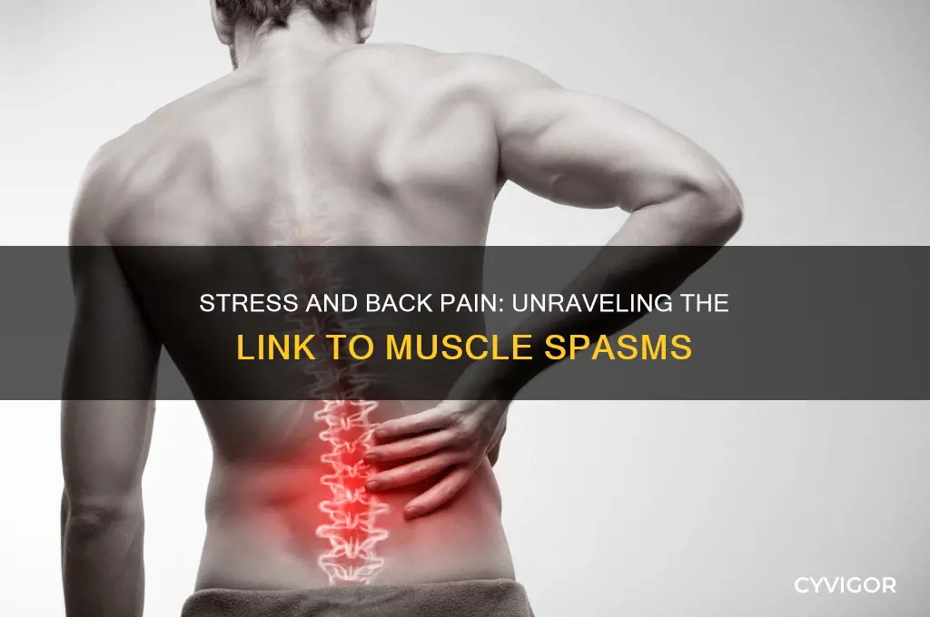 Stress And Back Pain: Unraveling The Link To Muscle Spasms | CyVigor