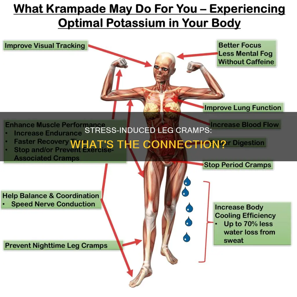 Stress-Induced Leg Cramps: What's The Connection? | CyVigor
