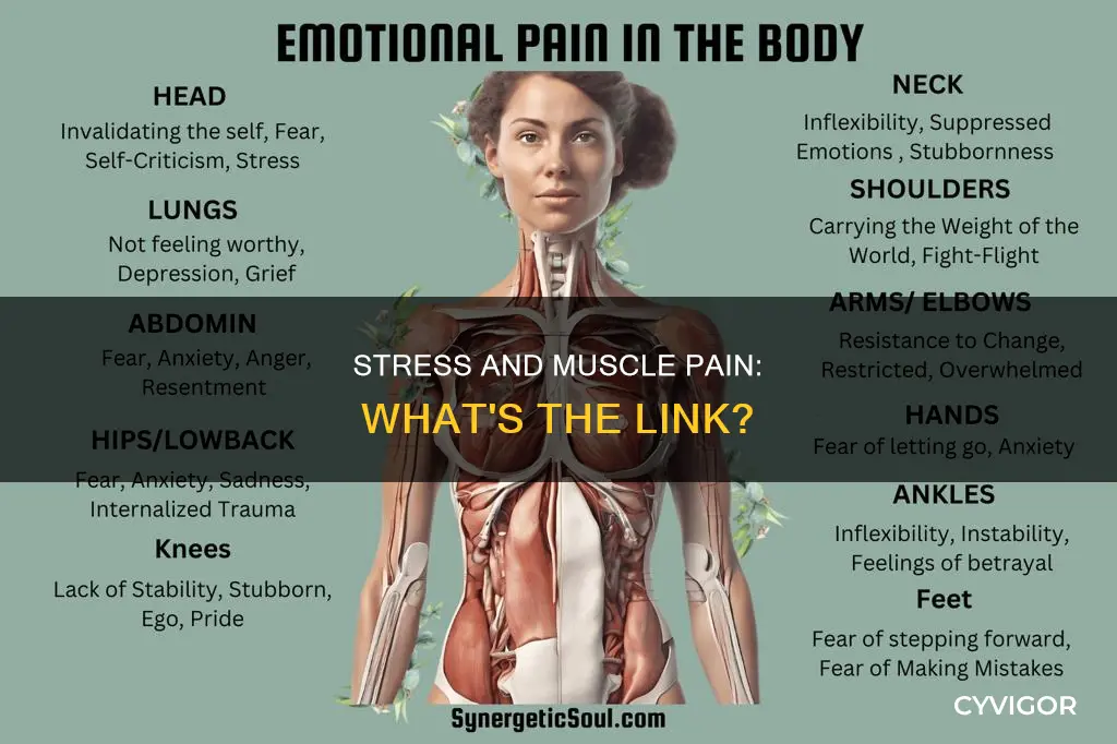 Stress And Muscle Pain: What's The Link? | CyVigor