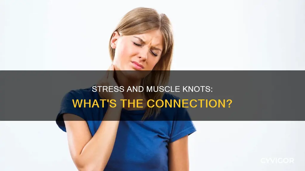 Stress And Muscle Knots: What's The Connection? | CyVigor