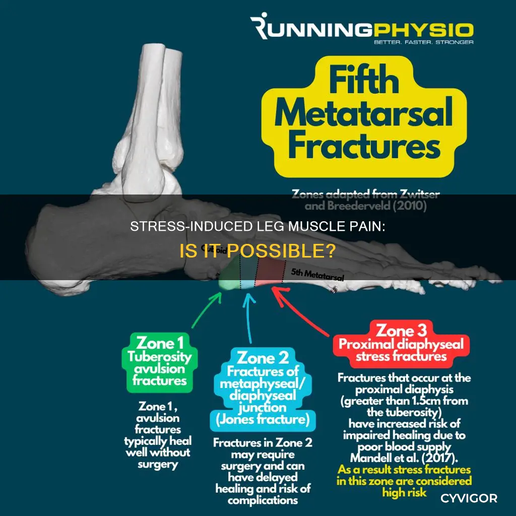 Stress-Induced Leg Muscle Pain: Is It Possible? | CyVigor
