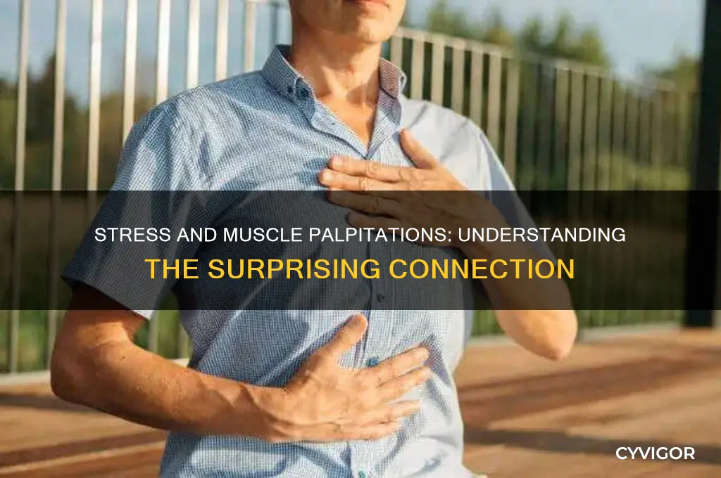 Stress And Muscle Palpitations: Understanding The Surprising Connection ...