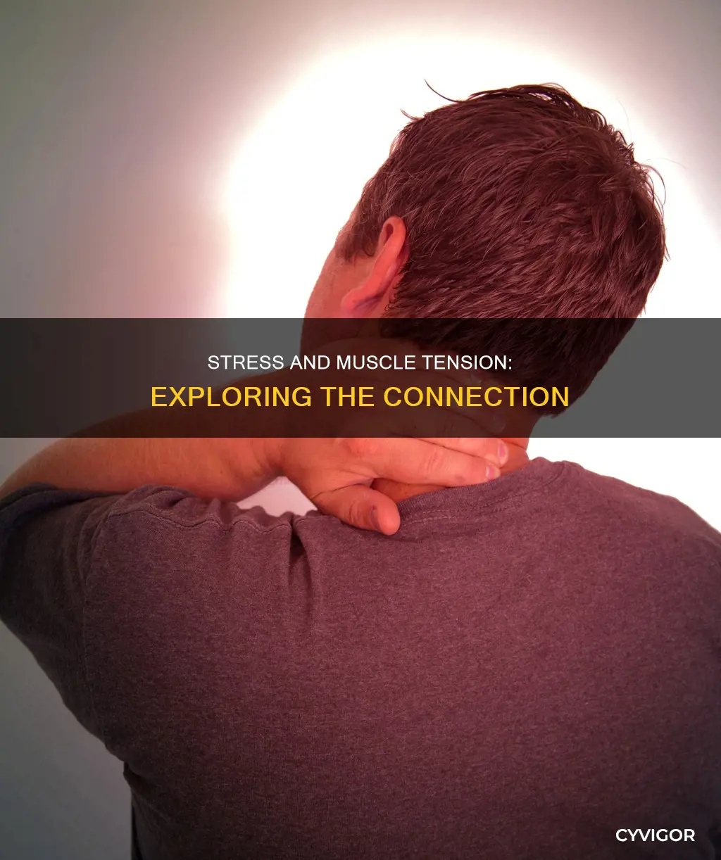 Stress And Muscle Tension: Exploring The Connection | CyVigor