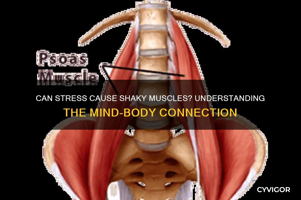 Can Stress Cause Shaky Muscles? Understanding The Mind-Body Connection ...