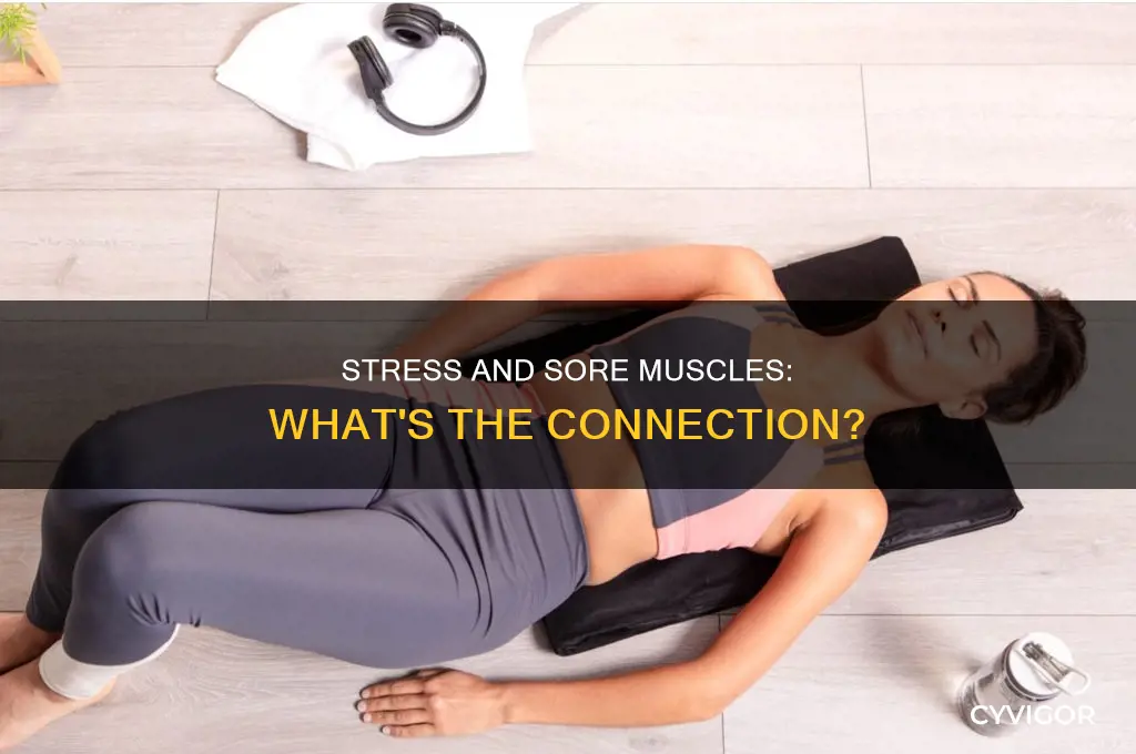 Stress And Sore Muscles: What's The Connection? | CyVigor