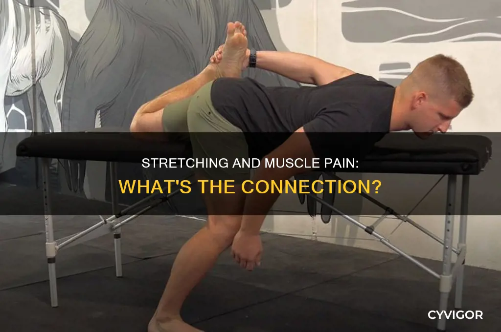 Stretching And Muscle Pain: What's The Connection? | CyVigor