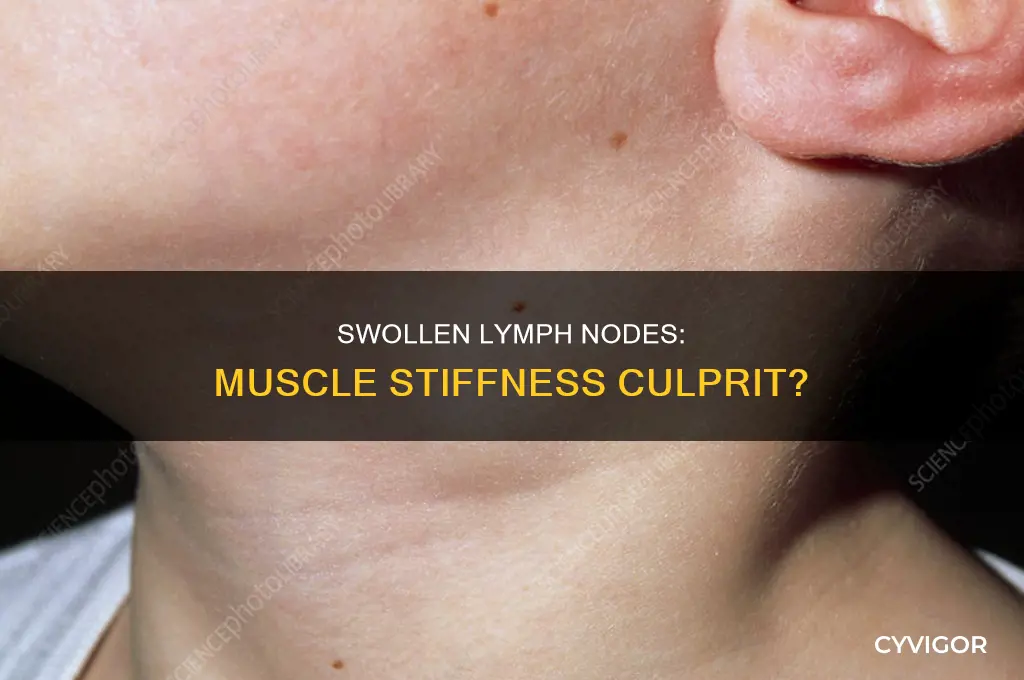 Swollen Lymph Nodes: Muscle Stiffness Culprit? | CyVigor