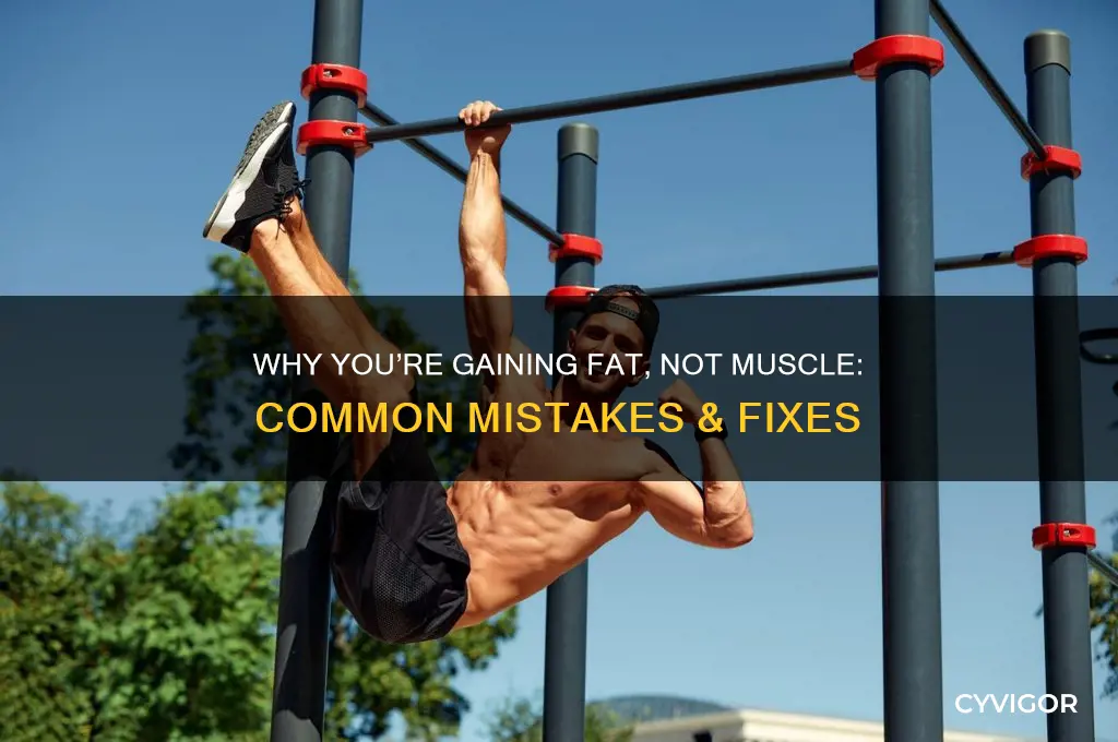 Why You’Re Gaining Fat, Not Muscle: Common Mistakes & Fixes | CyVigor