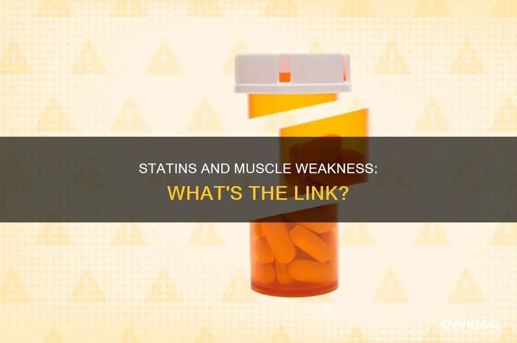 Statins And Muscle Weakness: What's The Link? | CyVigor