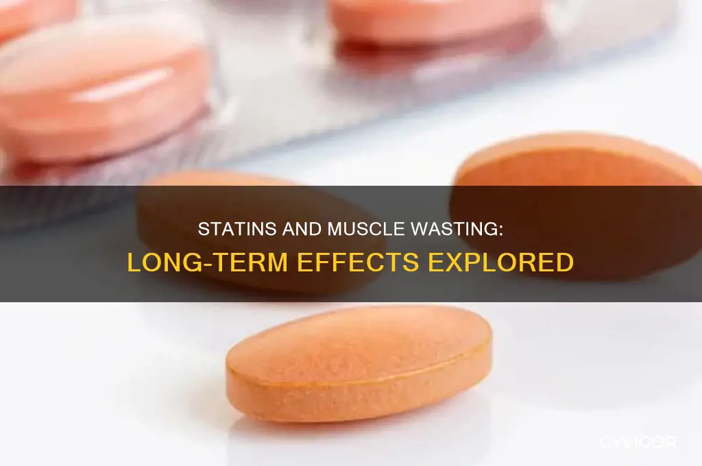 Statins And Muscle Wasting: Long-Term Effects Explored | CyVigor