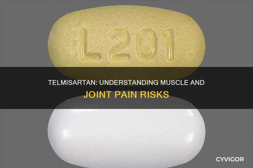 Telmisartan: Understanding Muscle And Joint Pain Risks | CyVigor