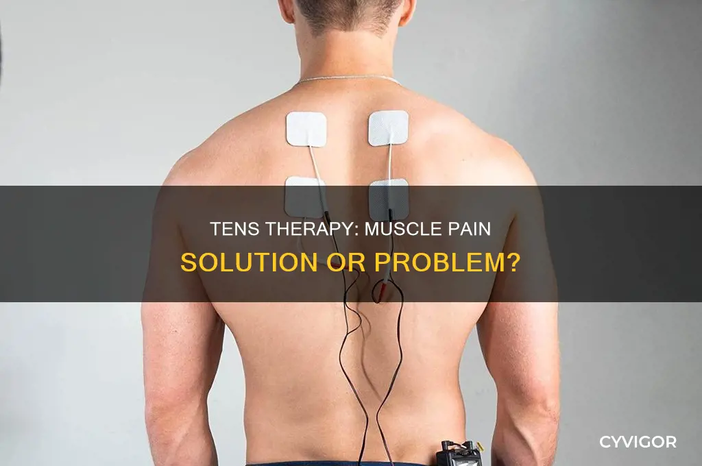 Tens Therapy: Muscle Pain Solution Or Problem? | CyVigor