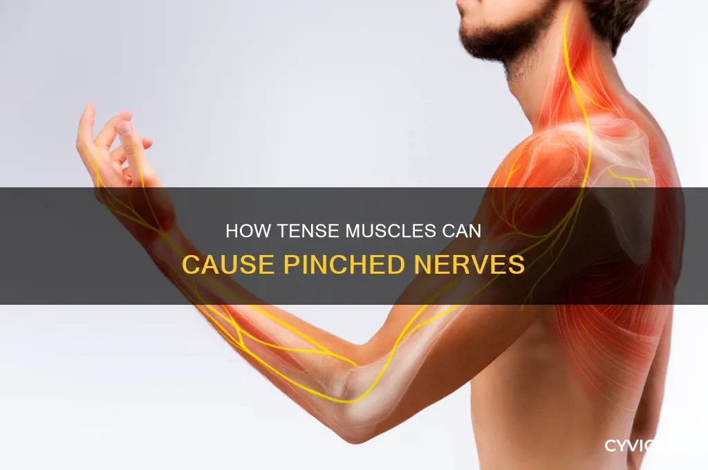 How Tense Muscles Can Cause Pinched Nerves | CyVigor