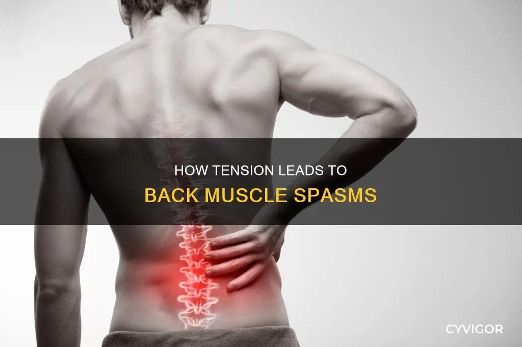 How Tension Leads To Back Muscle Spasms | CyVigor