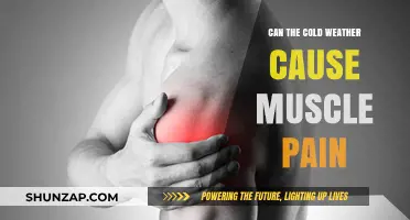 Nitrofurantoin's Musculoskeletal Pain: What You Need To Know | CyVigor