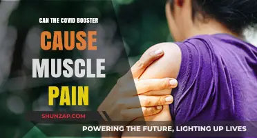 Understanding The Cremaster Muscle And Its Link To Pain | CyVigor