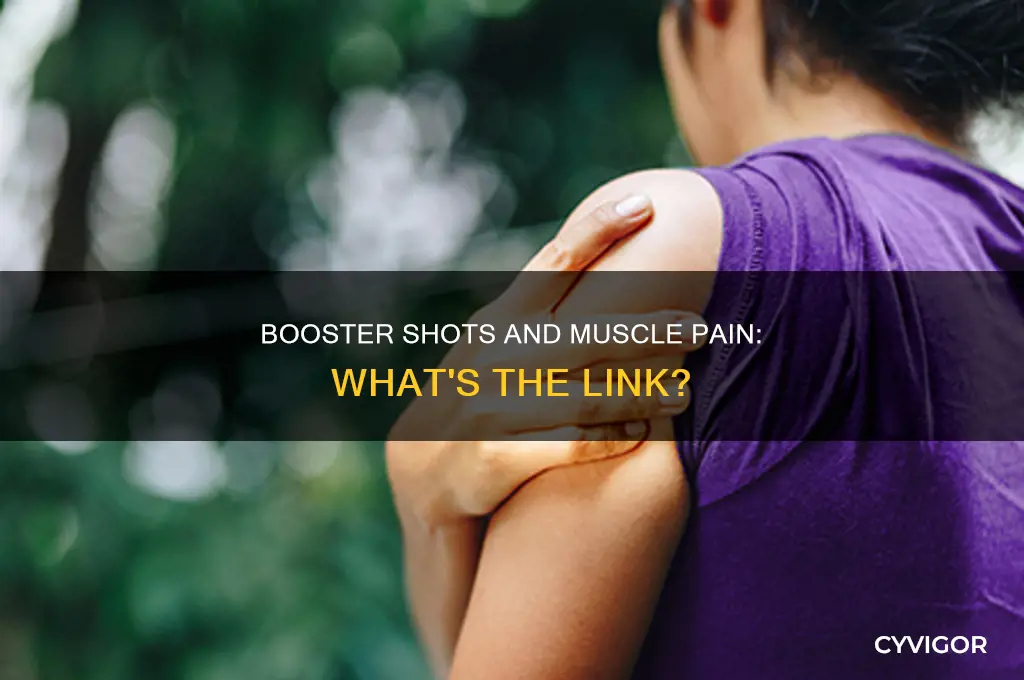 Booster Shots And Muscle Pain: What's The Link? | CyVigor