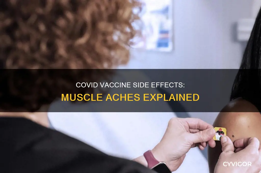 Covid Vaccine Side Effects: Muscle Aches Explained | CyVigor