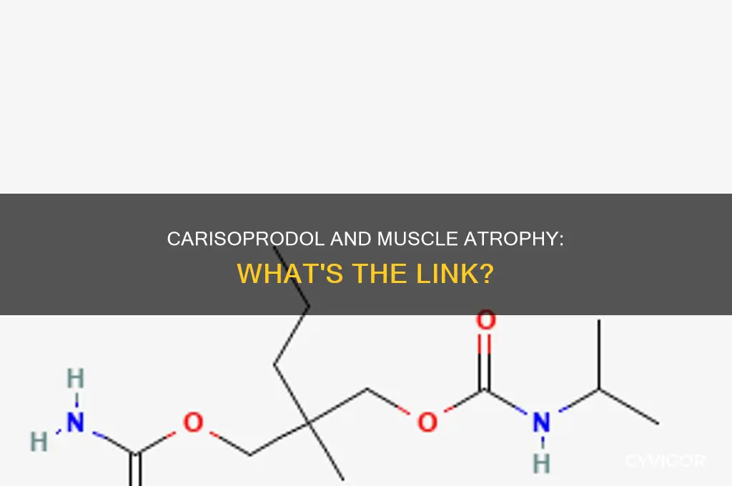 Carisoprodol And Muscle Atrophy: What's The Link? | CyVigor
