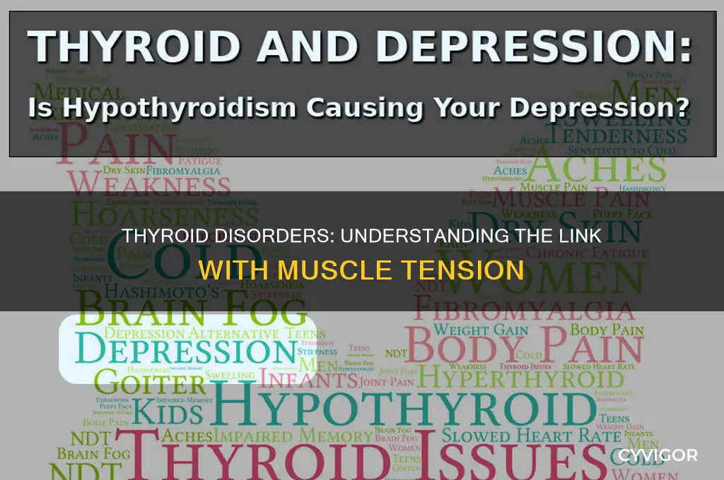 Thyroid Disorders: Understanding The Link With Muscle Tension | CyVigor