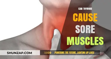 Thyroid Disorders: Joint And Muscle Pain Explained | CyVigor