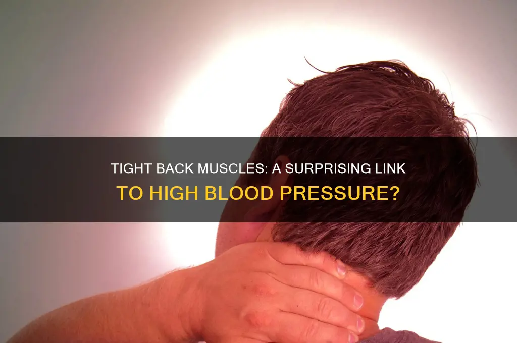 Tight Back Muscles: A Surprising Link To High Blood Pressure? | CyVigor