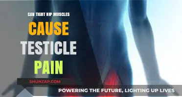 Tight Hip Flexors: Pelvic Floor Dysfunction Culprit? | CyVigor